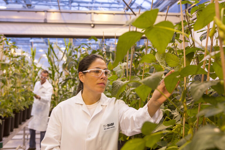 BASF advances integrated solutions to accelerate agriculture’s ...